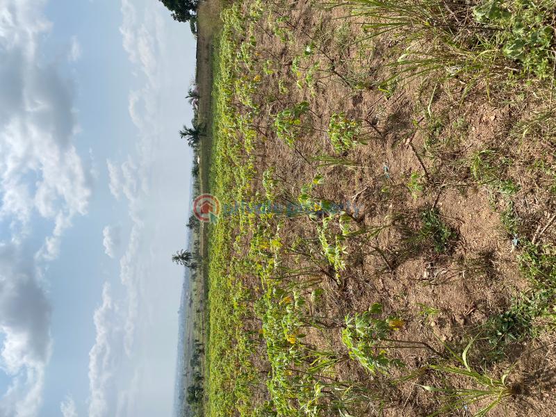 Land For Sale Kasoa Krodua Awutu-Senya West Central Region (PID: 5PAHHZ ...