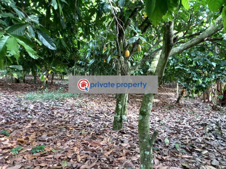 Commercial Land For Sale kubease After Boankra Ejisu-Juaben Municipal ...