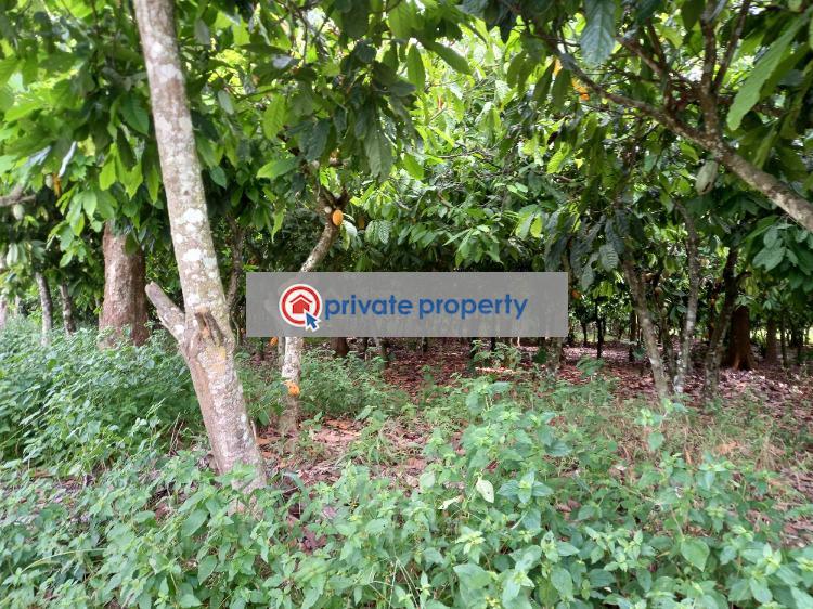 Commercial Land For Sale kubease After Boankra Ejisu-Juaben Municipal ...
