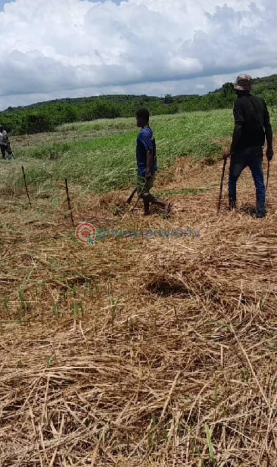 Land For Sale Mankessim Kuntu Mfantsiman Municipal Central Region (PID ...