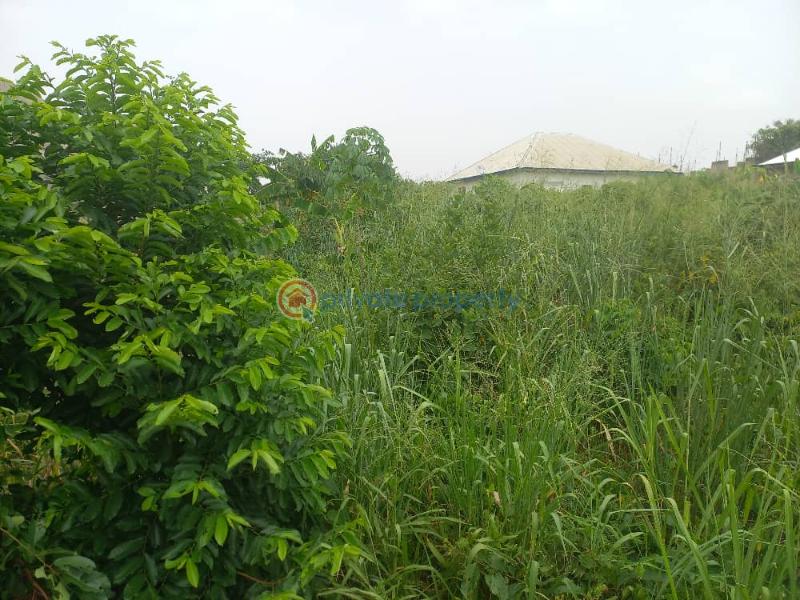 Land For Sale Ejisu, Kumasi Ghana Ejisu Ejisu-Juaben Municipal Ashanti ...
